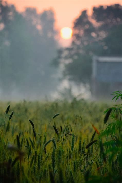 Punjab Wallpapers 4k Hd Punjab Backgrounds On Wallpaperbat
