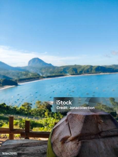 화창한 날 푸른 바다 풍경 속에서 신선한 코코넛 물을 마시며 0명에 대한 스톡 사진 및 기타 이미지 0명 건강한 식생활 과일 Istock