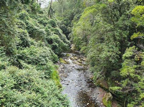 Barrington Tops National Park New South Wales Australia