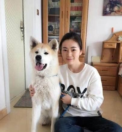 这6种狗超难遛遛狗容易收狗难的典型说得就是它们 狗狗 柴犬 主人