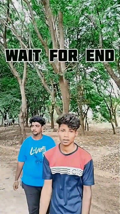 Funnyvideo Viral Comwdyvideos Instagram Funnygang668 Youtube
