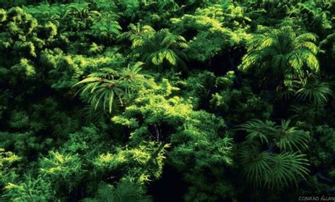 Vue 11 5 Creative Bloq