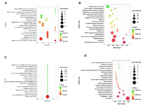 Functional Annotation Of Degs And De Frgs A Go Enrichment Analysis