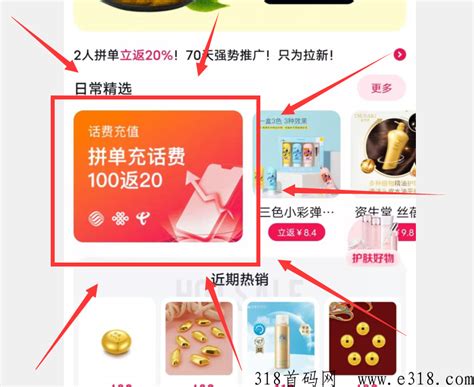 三网话费，新首码项目 首码项目 首码项目网