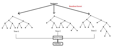 Bootstrap Aggregating And Random Forest Model By Asad Ashraf Karel