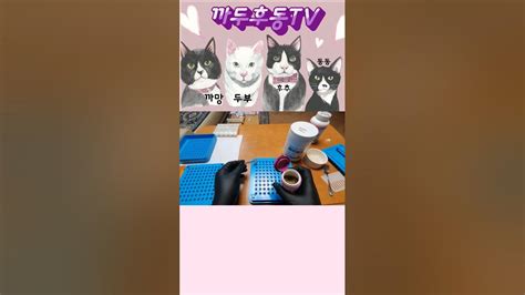 캡슐충진기로 고양이 알약만들기 Youtube