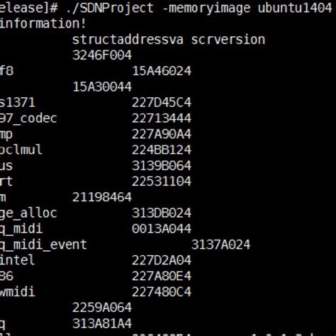 ：a Part Of The Module Information By Analysing The Physical Memory Of A