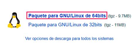 Guía De Instalación De Pseint Para Windows Y Linux