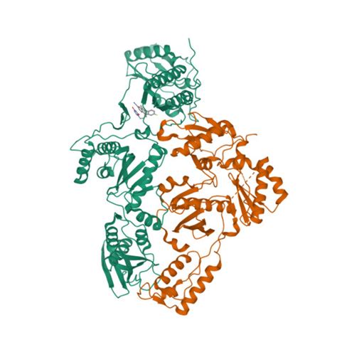 Rcsb Pdb 6x4c Crystal Structure Of Hiv 1 Reverse Transcriptase In