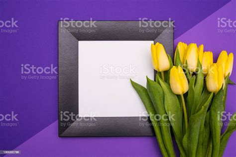 라일락 배경의 오른쪽에 있는 블랙 프레임과 노란색 튤립 꽃다발 3월에 대한 스톡 사진 및 기타 이미지 3월 계절 기술