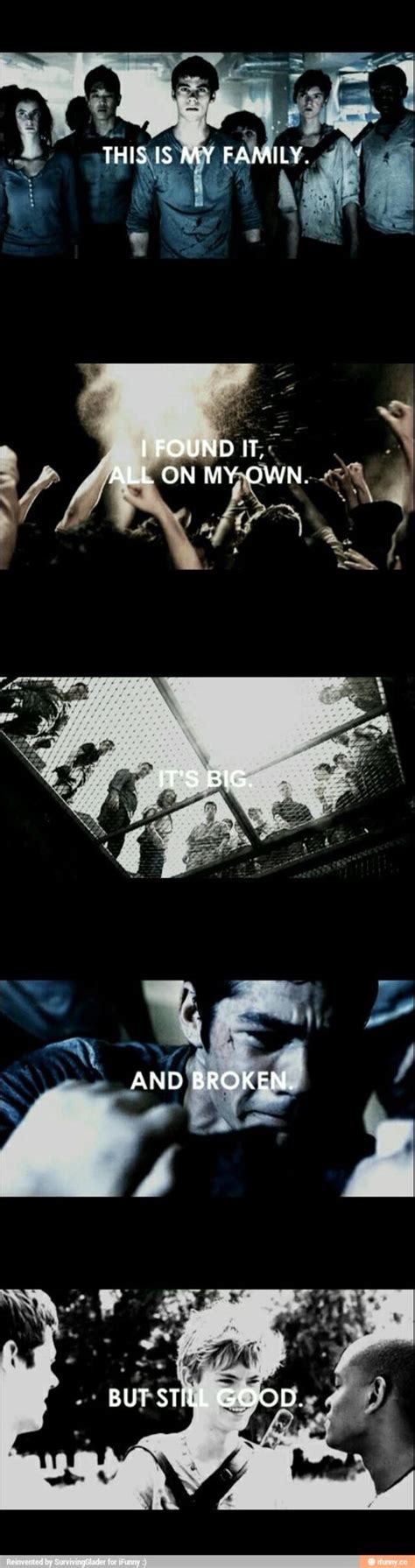 Pinterest Maze Runner Movie Maze Runner Maze Runner Funny