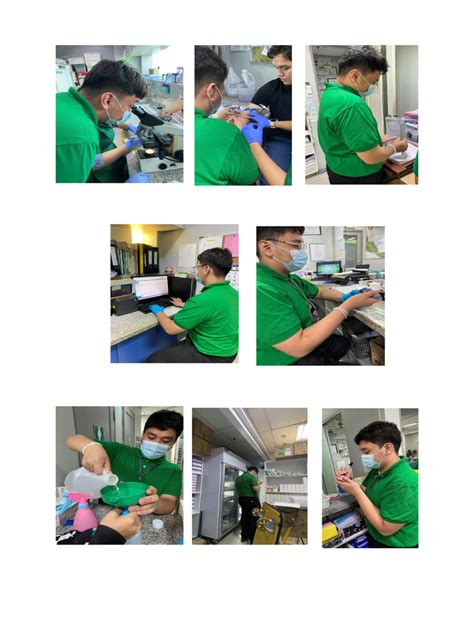 Pca Documentation Pictures Pdf Pca Documentation Pictures Pdf