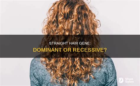 Straight Hair Gene Dominant Or Recessive Shunsalon