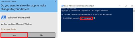 Black Screen Blues Fix Your PC No Display Issue Easy Guide