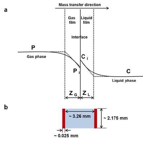 Fig S2 A Schematic Diagram Describing The Two Film Theory For Download Scientific Diagram