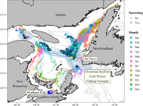 Small Circles And Large Triangles Indicate Estimated Daily Geolocations Download Scientific