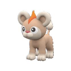 Shiny Litleo Didnt Realised That Litleo Pokemon Can Evolve Into 2