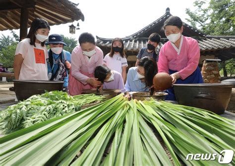 단오 앞두고 창포물에 머리 감아요 네이트 뉴스