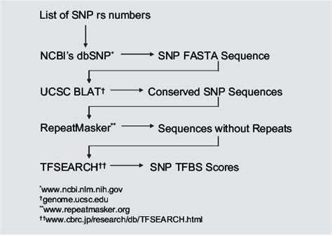 Flowchart Of IFS Calculation By Extending The PromoLign Algorithm Download Scientific Diagram