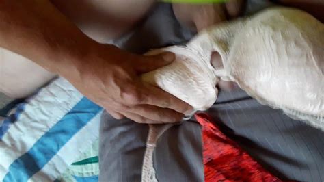 Bra Fuck Cum On Panties Xhamster