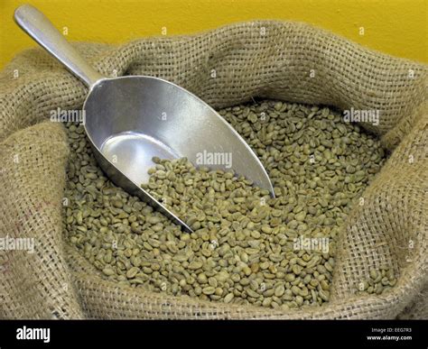 Sack Kaffeebohnen Genussmittel Kaffee Bohnen Coffea Frucht