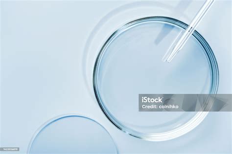 빈 둥근 페트리 접시 또는 유리 슬라이드와 피펫을 파란색 배경에 놓습니다 화장품 또는 과학 제품 샘플에 대한 모형 페트리 접시에 대한 스톡 사진 및 기타 이미지 Istock
