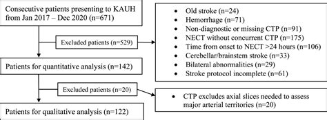 Assessing Brain Tissue Viability On Nonenhanced Computed Tomography After Ischemic Stroke Stroke