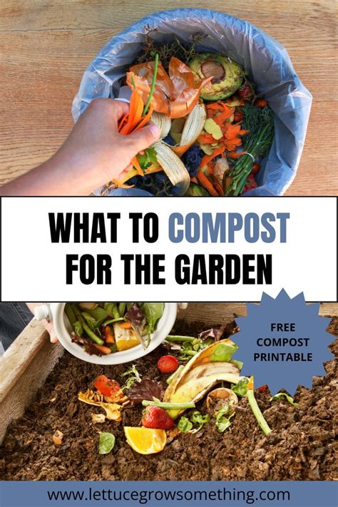 Best Materials For Compost Bin