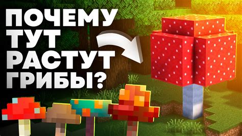 ОТКУДА ГРИБЫ В ТЁМНОМ ЛЕСУ Майнкрафт Теория Mrgridlock Youtube