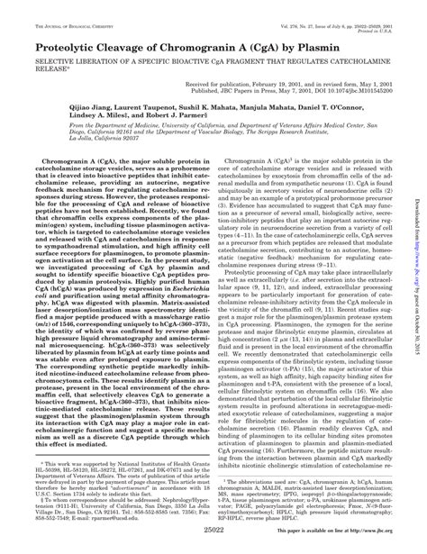 Pdf Proteolytic Cleavage Of Chromogranin A Cga By Plasmin