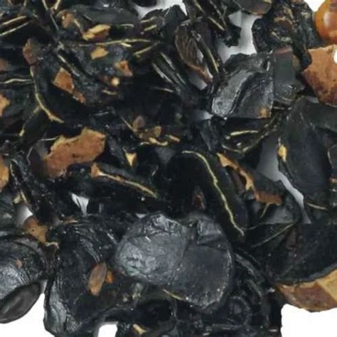 Amaltaas Pulp Cassia Fistula At ₹ 2078600 Cassia Fistula Id
