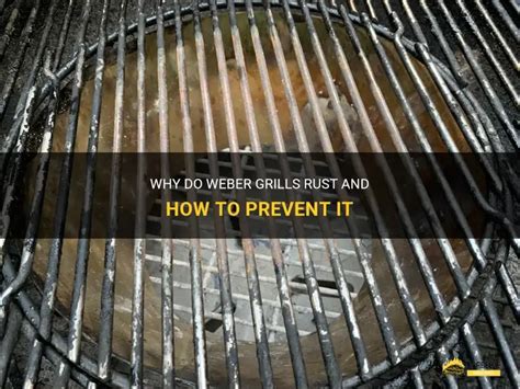 Why Do Weber Grills Rust And How To Prevent It ShunGrill