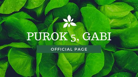 Gabi Elementary School Added A Gabi Elementary School