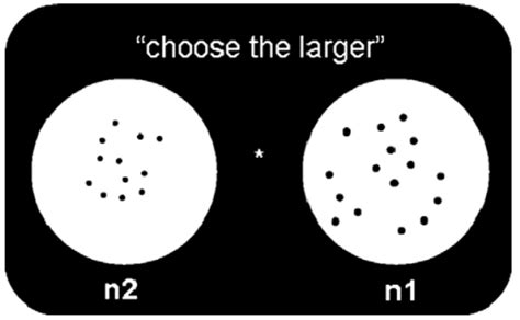 An Example Trial In Non Symbolic Comparison Task Taken From Piazza Et