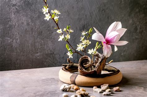 Todo Sobre El Arte De Ikebana