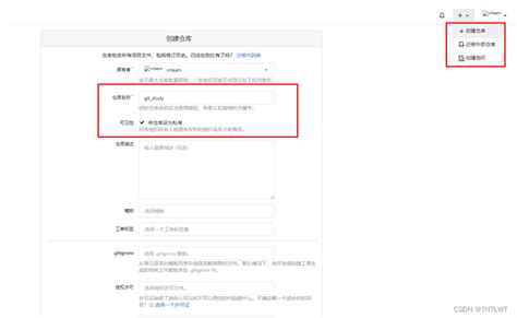 7、自建代码管理平台：gitlab gitea gitlab gitea csdn博客