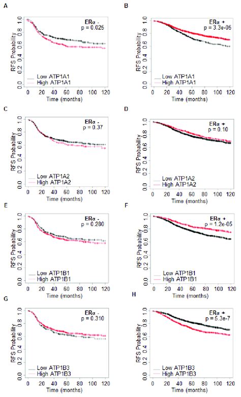 The Expression Of Na K ATPase Isoforms In Breast Cancer Progression