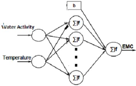 The Topology Of The Ann Adopted Download Scientific Diagram