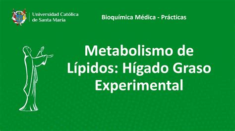 SOLUTION 5 Pr Ctica Metabolismo De L Pidos H Gado Graso Experimental 1