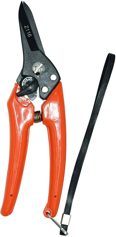 4 Best Goat Hoof Trimmers Electric Hand Models Informed Farmers
