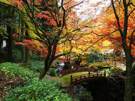By Id Photohito