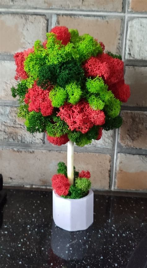 Декоративне дерево для офісу з стабілізованим норвежським мохом в