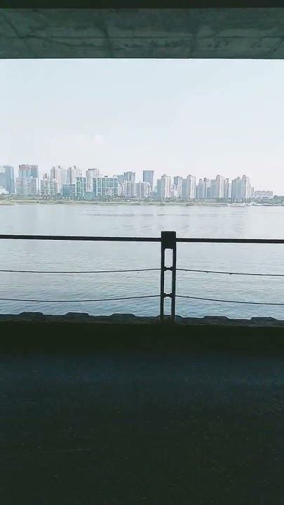 한강한강다리밑시원한여름나기seoul Youtube