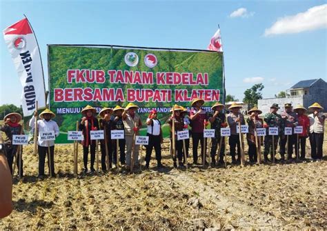 Jaga Kerukunan FKUB Klaten Ajak Petani Tanam Kedelai Ini Korelasinya