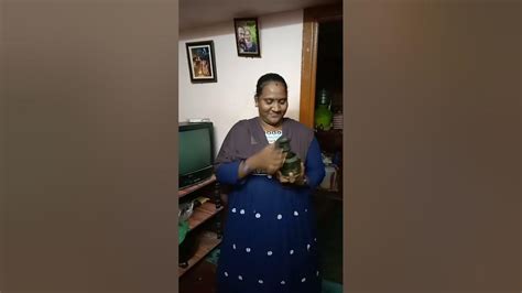 மூட்ட பூச்சி Youtubeshorts Youtube