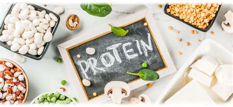 Best Plant Based Protein Sources Lily Loaf Blog