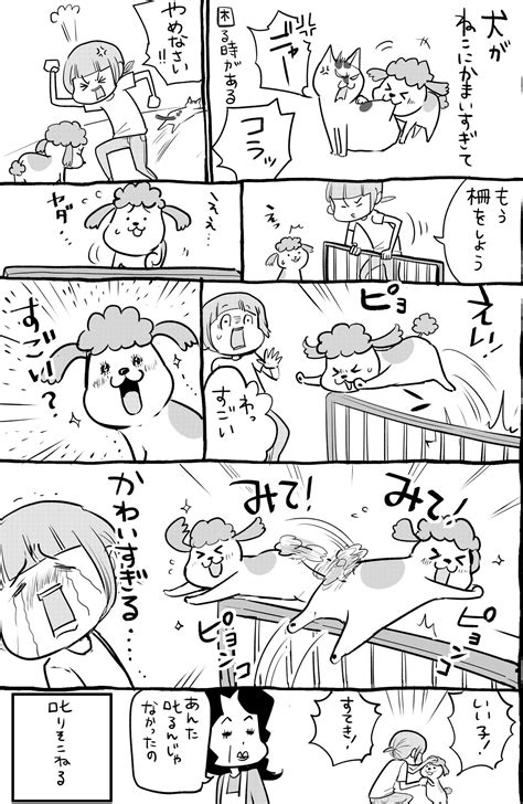 松本ひで吉 On Twitter 犬と猫どっちも飼ってると、柵ひとつでもこんなにたのしい。 0tyu61kmuz