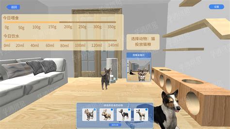 华清远见元宇宙实验中心
