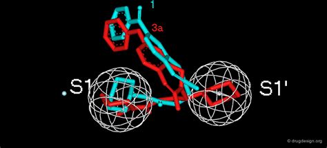 Case Studies In Structure Based Designs Drug Design Org