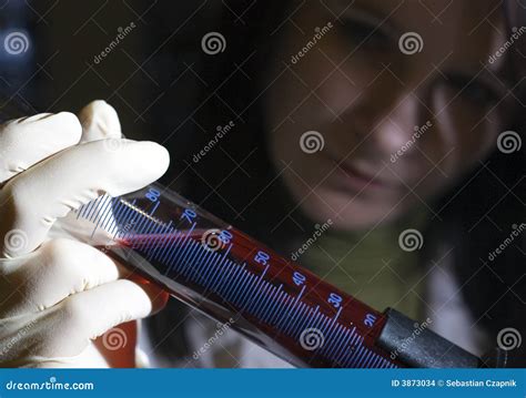 Laboratory Woman Stock Photo Image Of Experiments Immunology